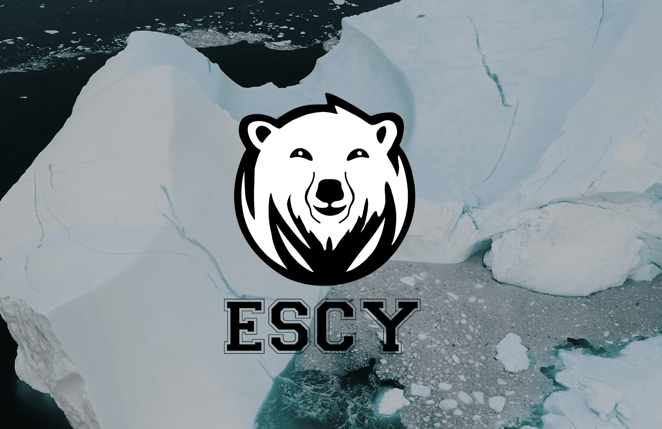 Présentation de FLOKY la mascotte de l'ESCY